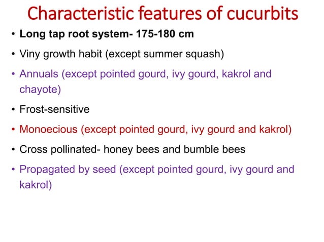 Cucurbitaceae | PPT