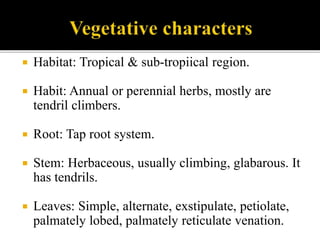 Cucurbitaceae & apaiceae | PPTX
