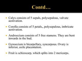 Cucurbitaceae & apaiceae | PPTX