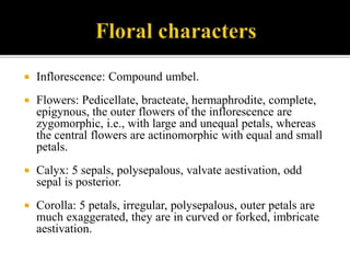 Cucurbitaceae & apaiceae | PPTX