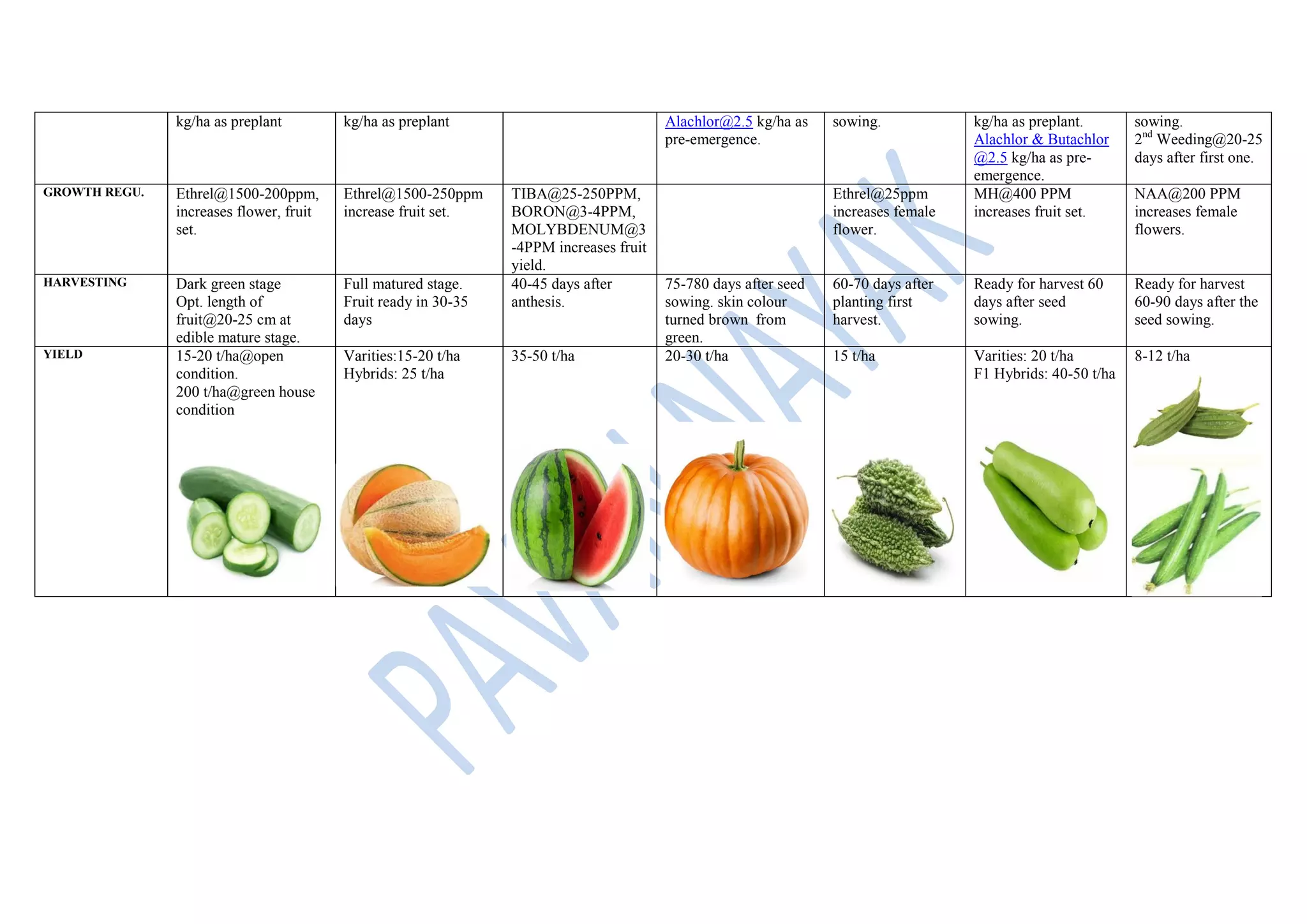 PRODUCTION TECHNOLOGY OF CUCURBITS (FAMILY: CUCURBITACEAE) | PDF