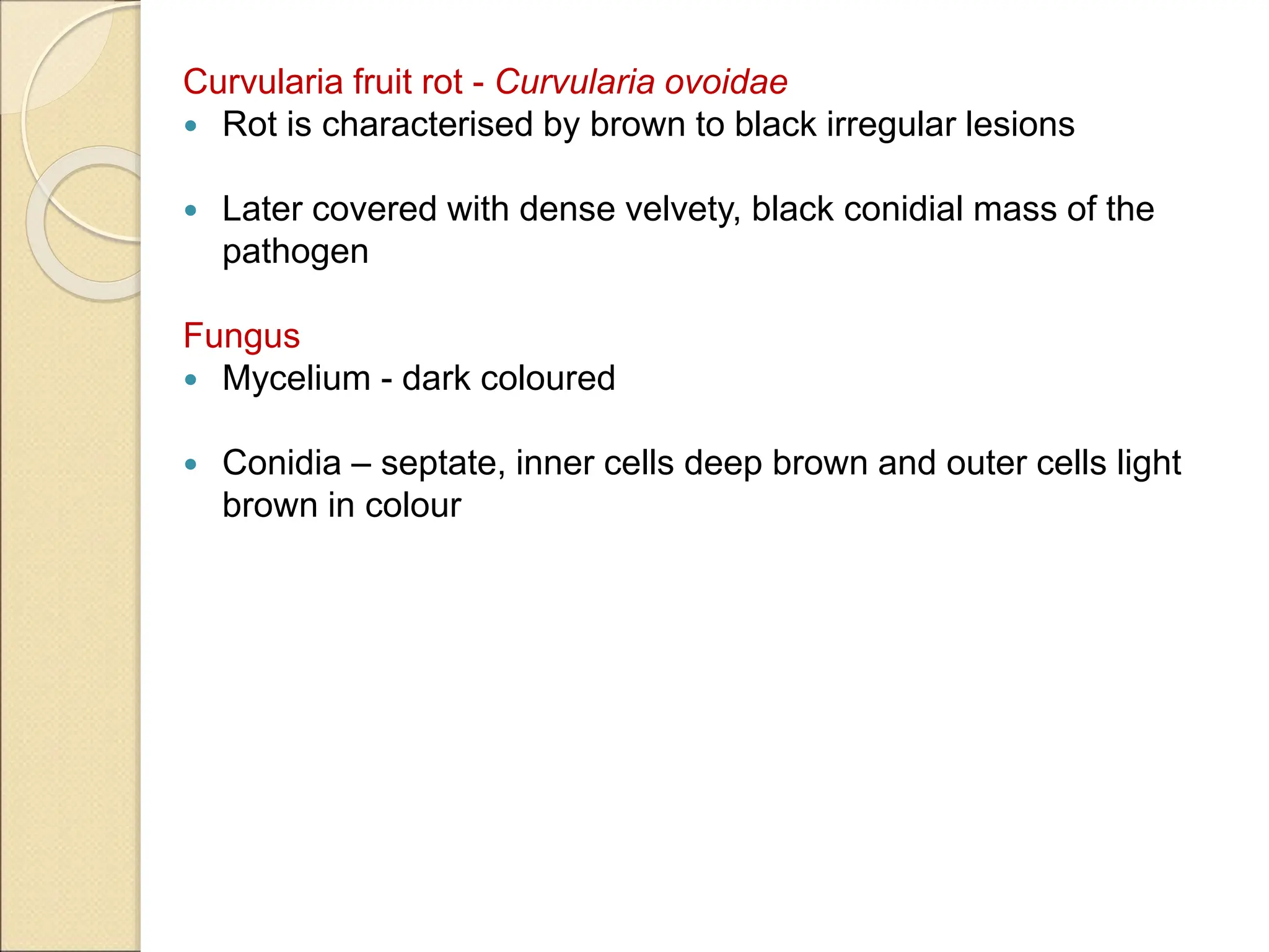 cucurbits.ppt