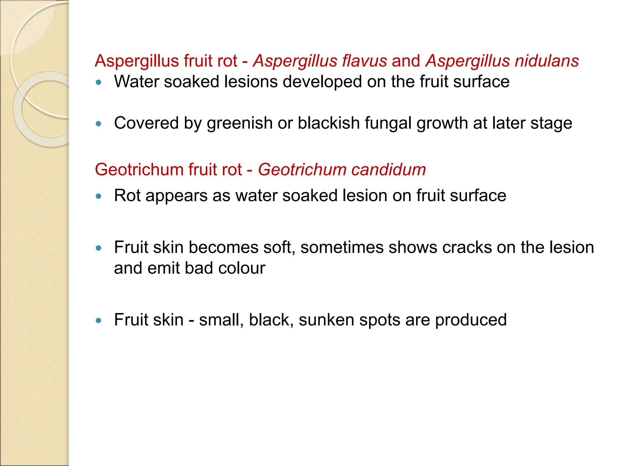 cucurbits.ppt