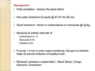 cucurbits.ppt