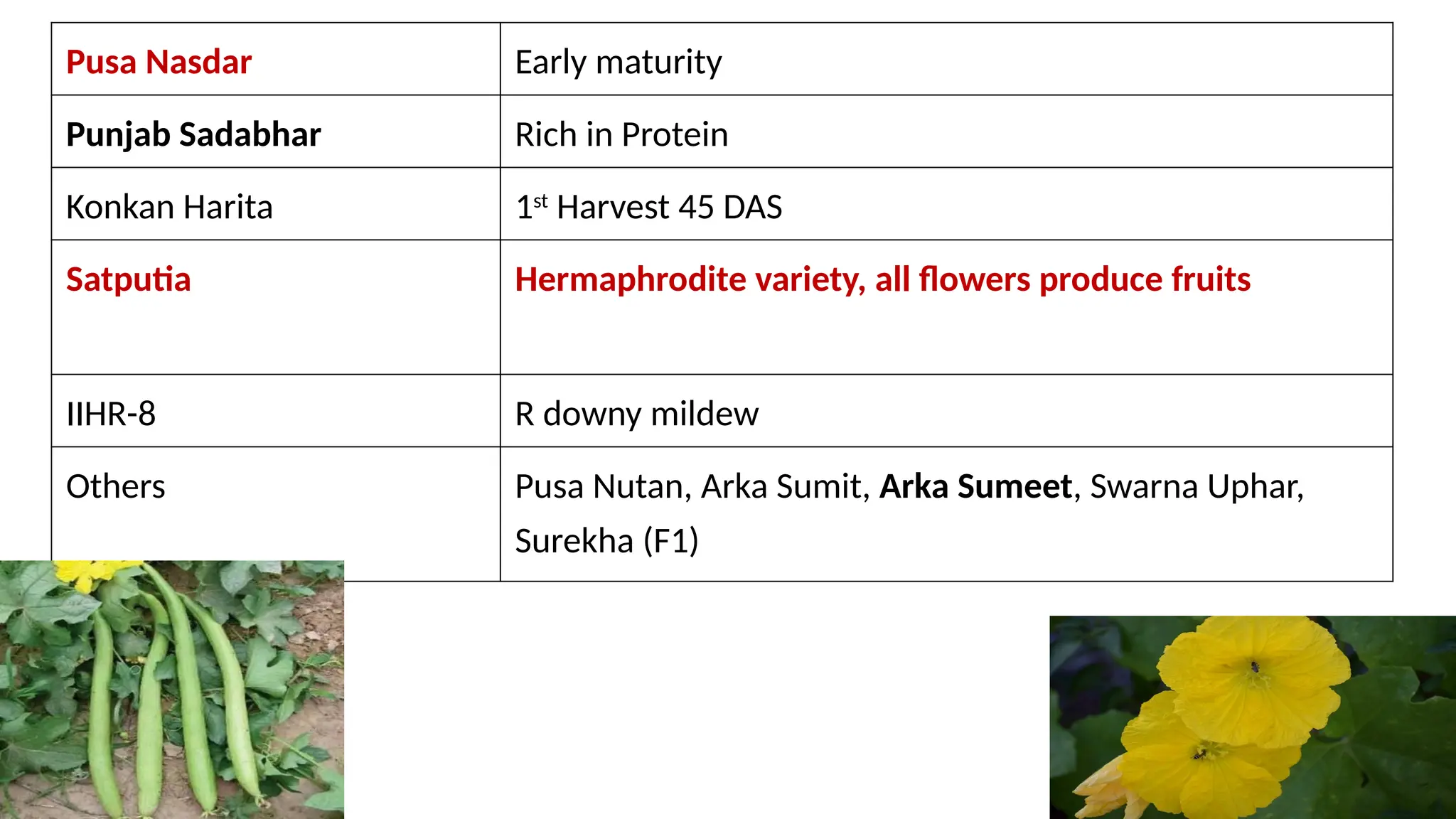 cucurbits production technology for agriculture).pptx