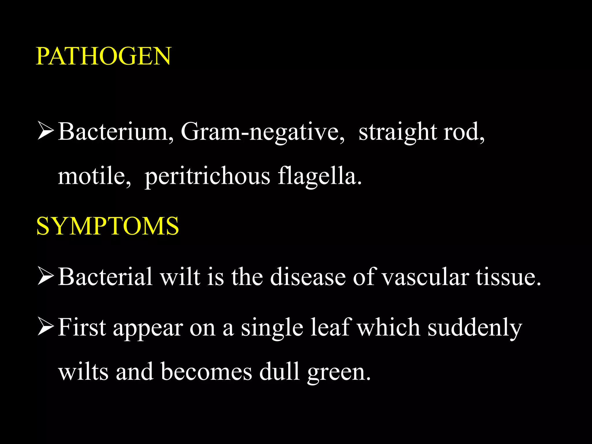 Cucurbits Bacterial Wilt | PPTX