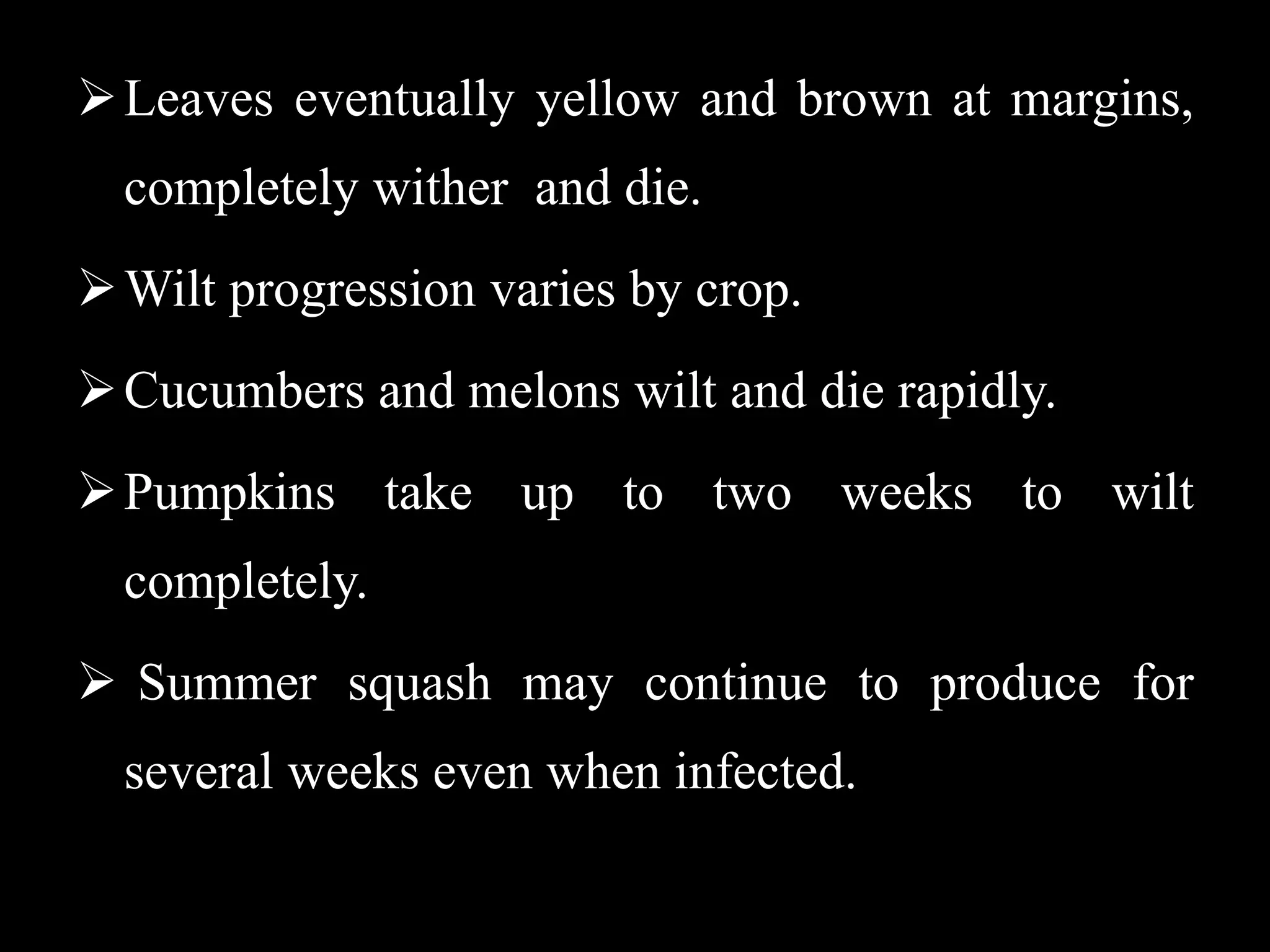 Cucurbits Bacterial Wilt | PPTX