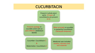 Nutritional and medicinal values of cucurbits | PPTX