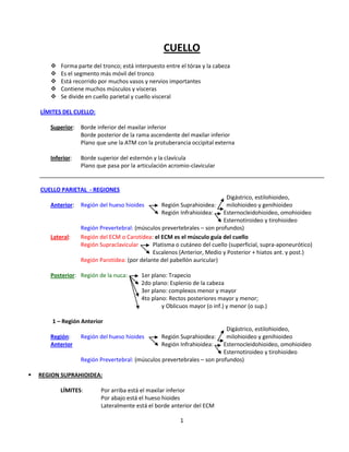 Cuello Parietal y Visceral | DOCX