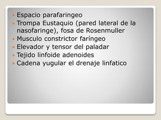 Cuello | PPTX