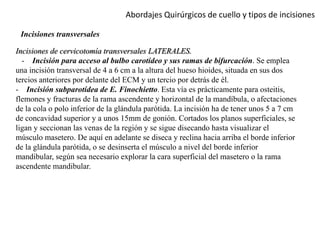 cuello.pptx