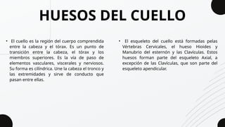 Cuello - Anatomía II. Medicina ........ | PPTX