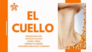 ANATOMIA CUELLO HUMANO EN PLANTILLA .pptx