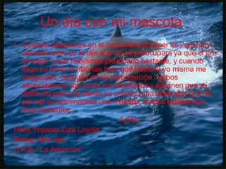 Cuento mi mascota | PPT