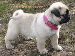 Cuento del perro | PPT