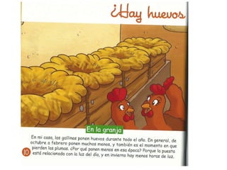 Cuento el huevo | PPT