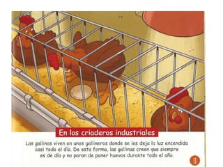 Cuento el huevo | PPTX