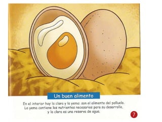 Cuento el huevo | PPTX