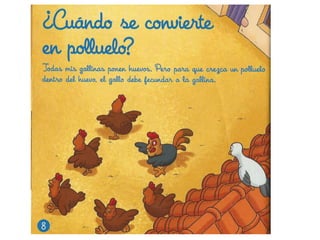 Cuento el huevo | PPTX