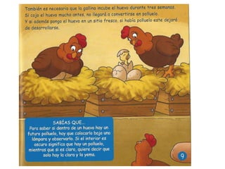 Cuento el huevo | PPTX