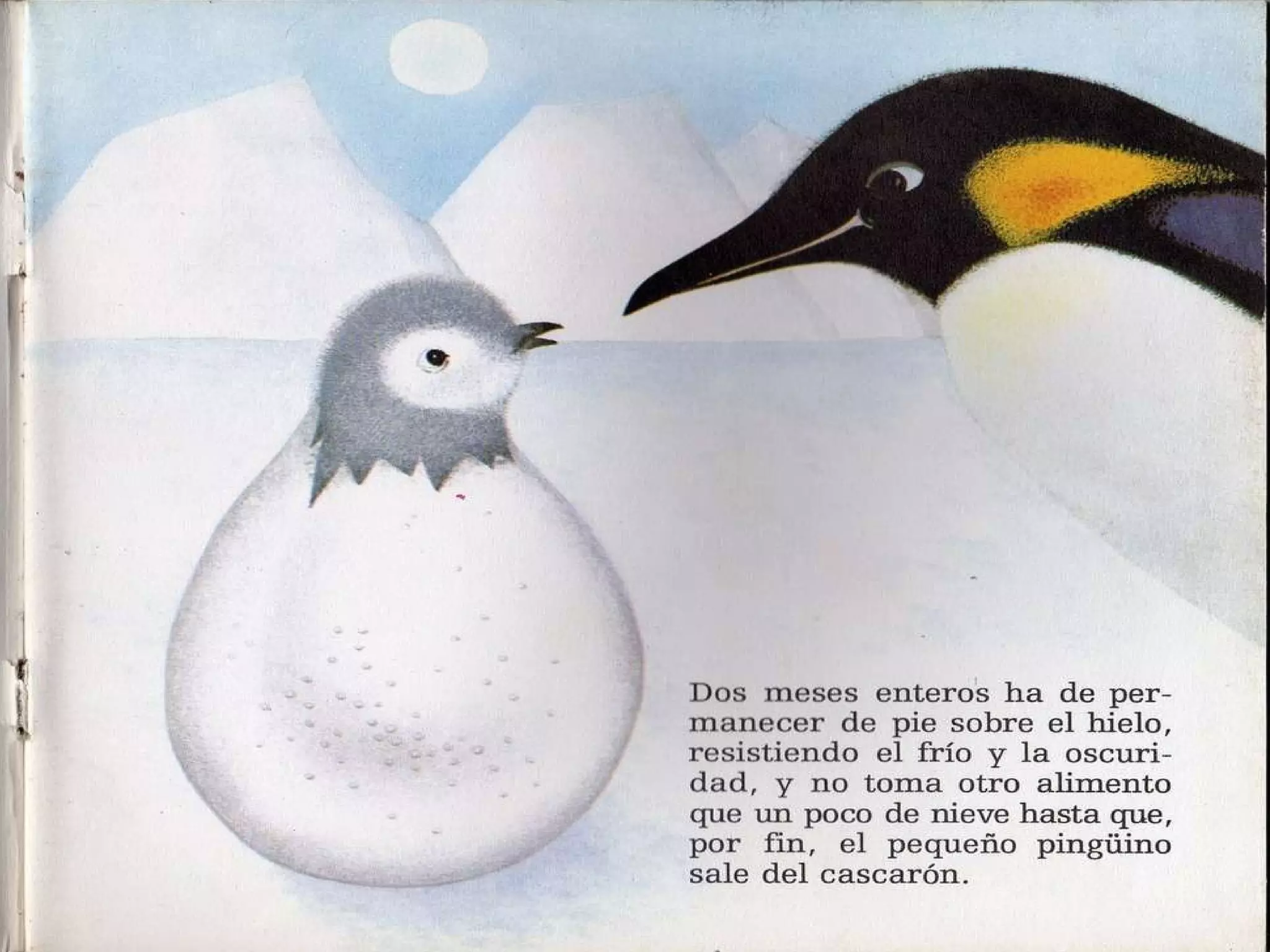 Cuento "Los Pingüinos" de Iliane Roels | PPT