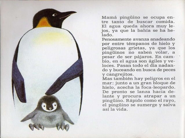 Cuento "Los Pingüinos" de Iliane Roels