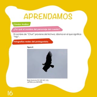 Cuentos-Animales-sierra-3.pdf cuentos interandinos | PDF