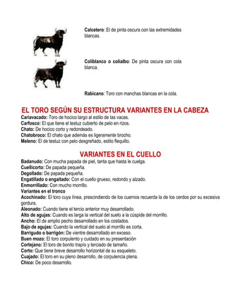 Cuernos | PDF