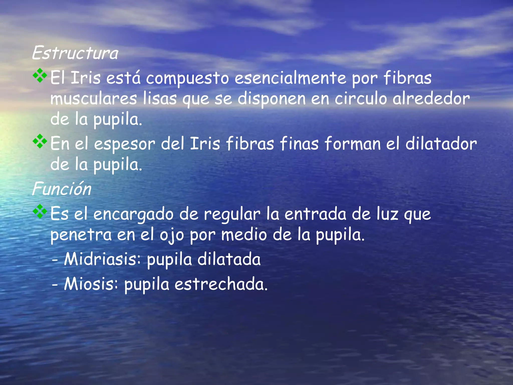 Cuerpo ciliar e iris | PPT