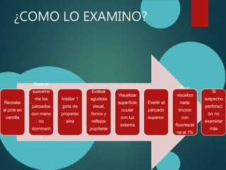 CUERPO EXTRAÑOS.pptx
