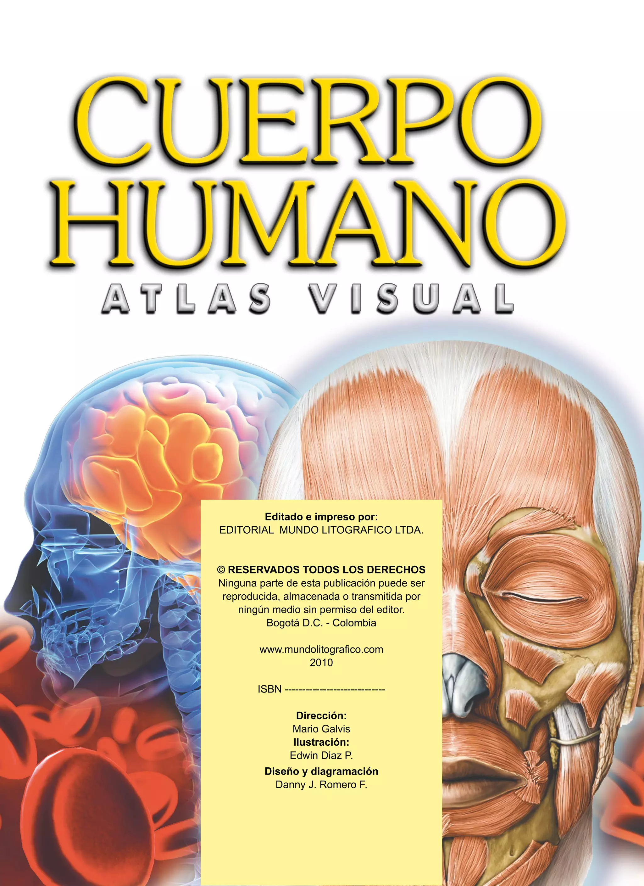 Cuerpo humano atlas visual | PDF