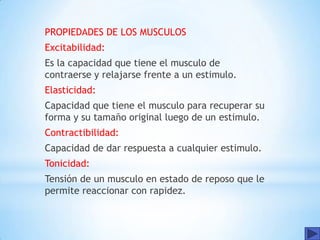 Cuerpo humano- Sistema Muscular y Oseo | PPTX