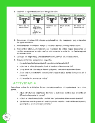 Cuerpohumanoysalud clase4 | PDF