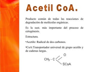 Cuerpos cetonicos. | PPT