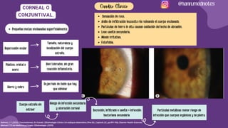 Cuerpos extraños oculares: superficiales e intraoculares.pdf