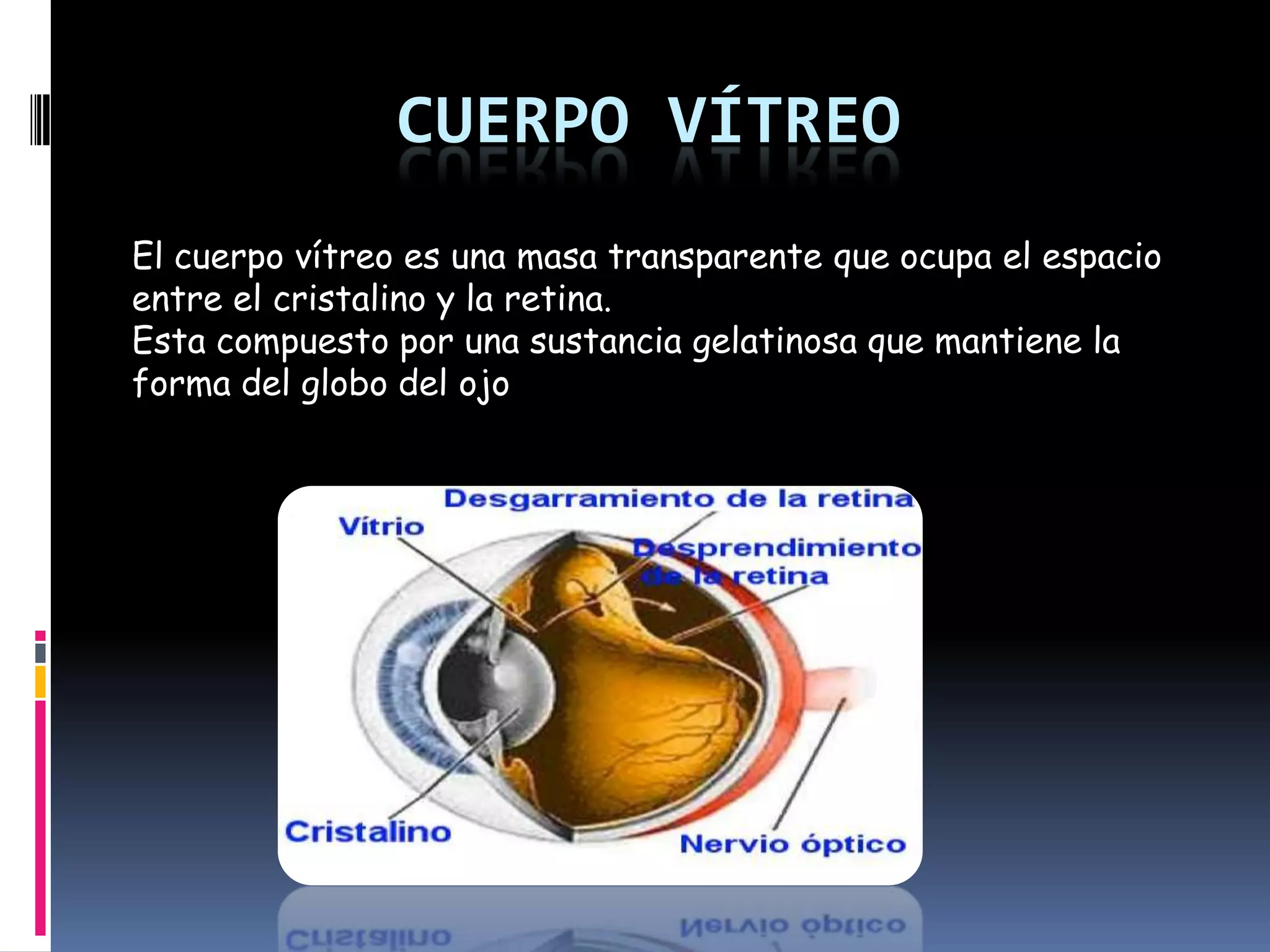 Cuerpo vítreo | PPTX