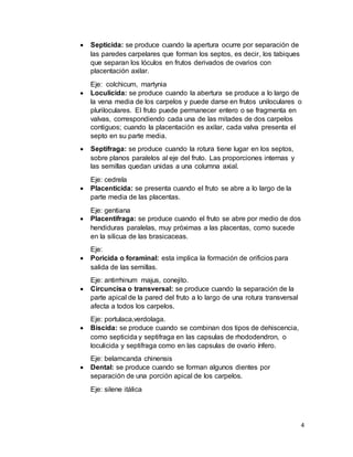 Cuestionario 3. frutos y semillas | DOCX