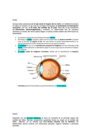 Cuestionario de ciencias naturales | DOCX