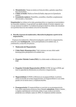Cuestionario de tejido hematopoyetico (1).docx