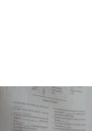 cuestionario No. 3.pdf