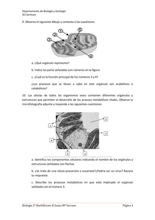 Cuestiones de selectividad citología | PDF