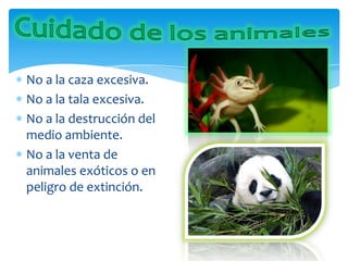 Cuidado del medio ambiente | PPTX
