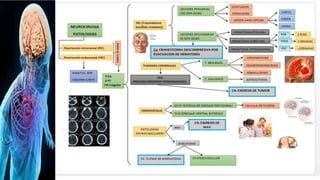 Cuidado post operatorio al paciente neuro quirurgico | PPTX