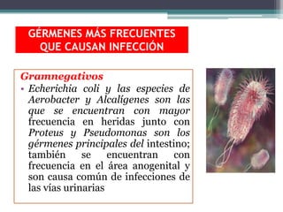 Cuidados de enfermerìa en las heridas_ACanoM | PDF