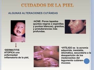 Cuidados de la piel | PPT