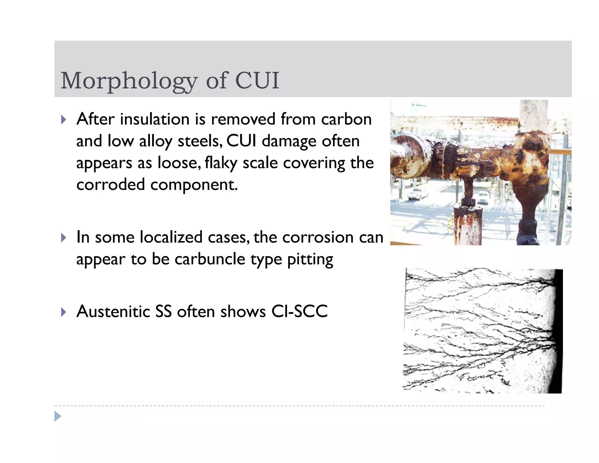 Corrosion Under Insulation Inspection In Ammonia Urea Plant | PDF