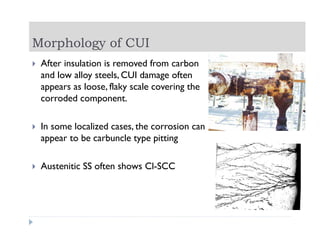 Corrosion Under Insulation Inspection In Ammonia Urea Plant | PDF