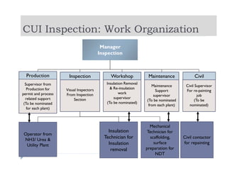 Corrosion Under Insulation Inspection In Ammonia Urea Plant | PDF