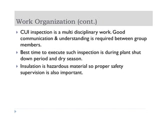 Corrosion Under Insulation Inspection In Ammonia Urea Plant | PDF