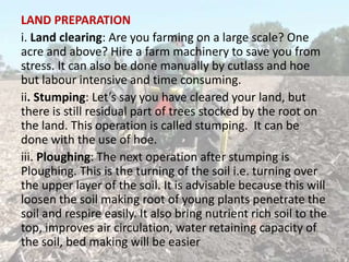 A reference manual on cucumber cultivation | PPTX